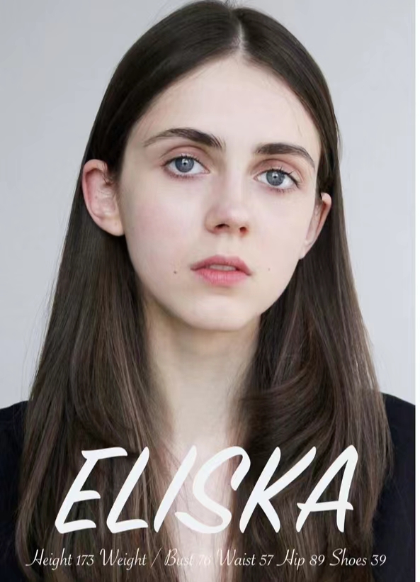 Ice Model – ICE MODEL